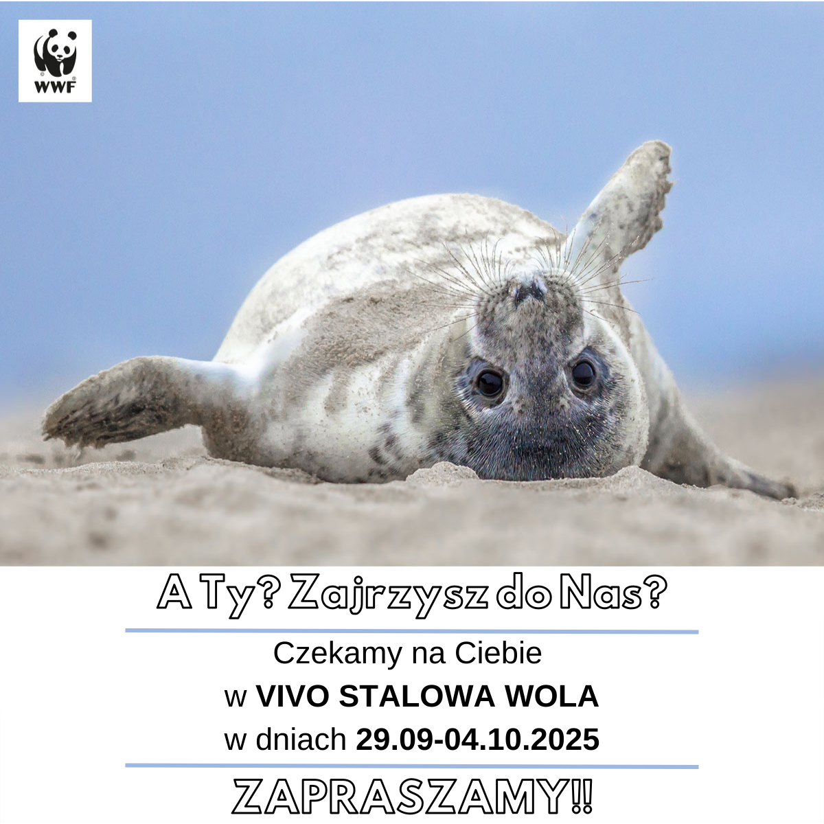 WWF Poland at VIVO! | September 29 – October 4, 2025